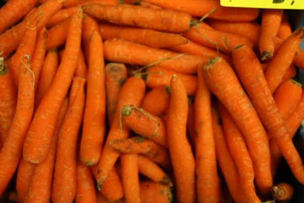 High QualityVegetable Textures - Carrot Textures | High Quality Textures