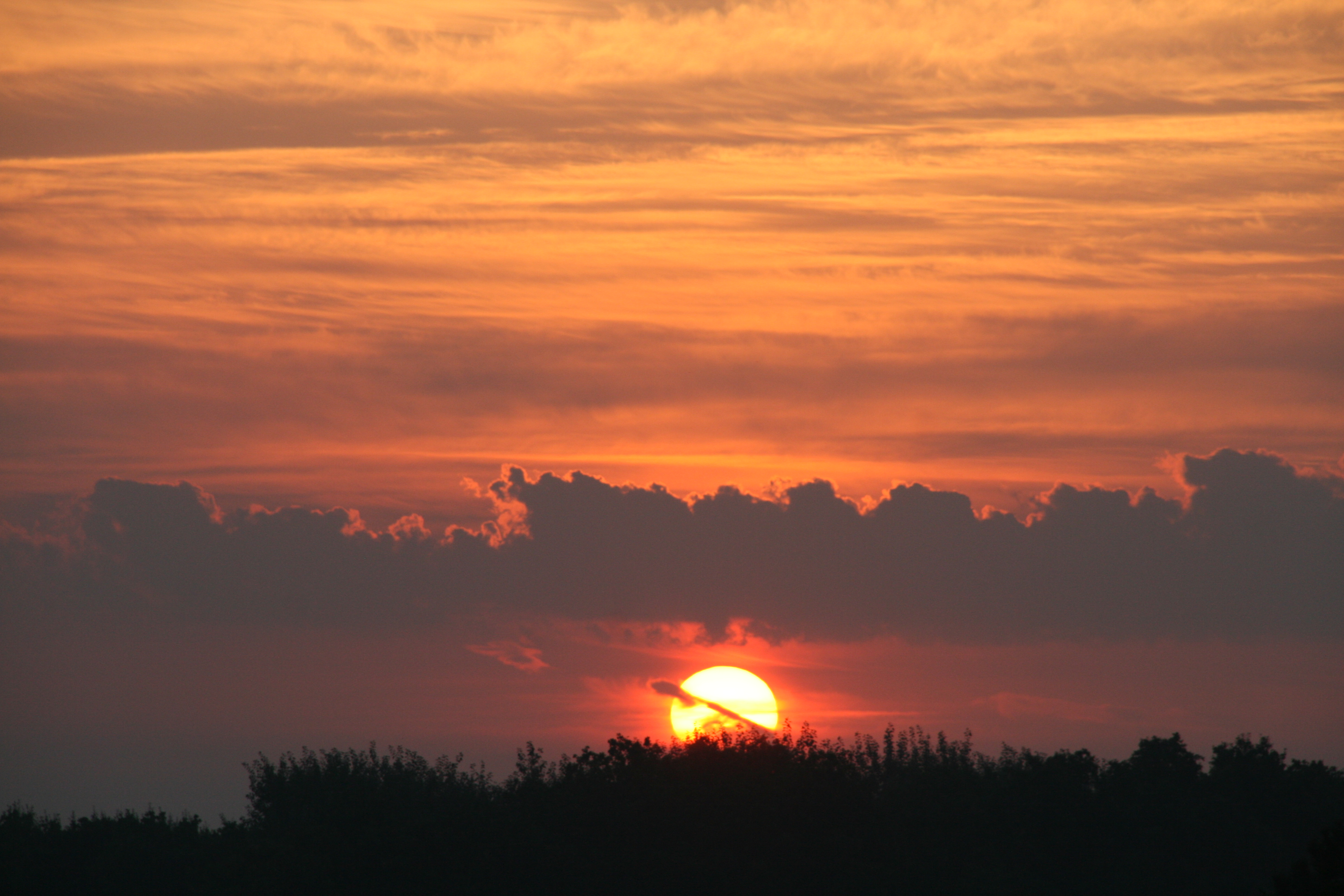 High Quality Upcoming Sun Behind Treeline Texture - Sunset Textures ...