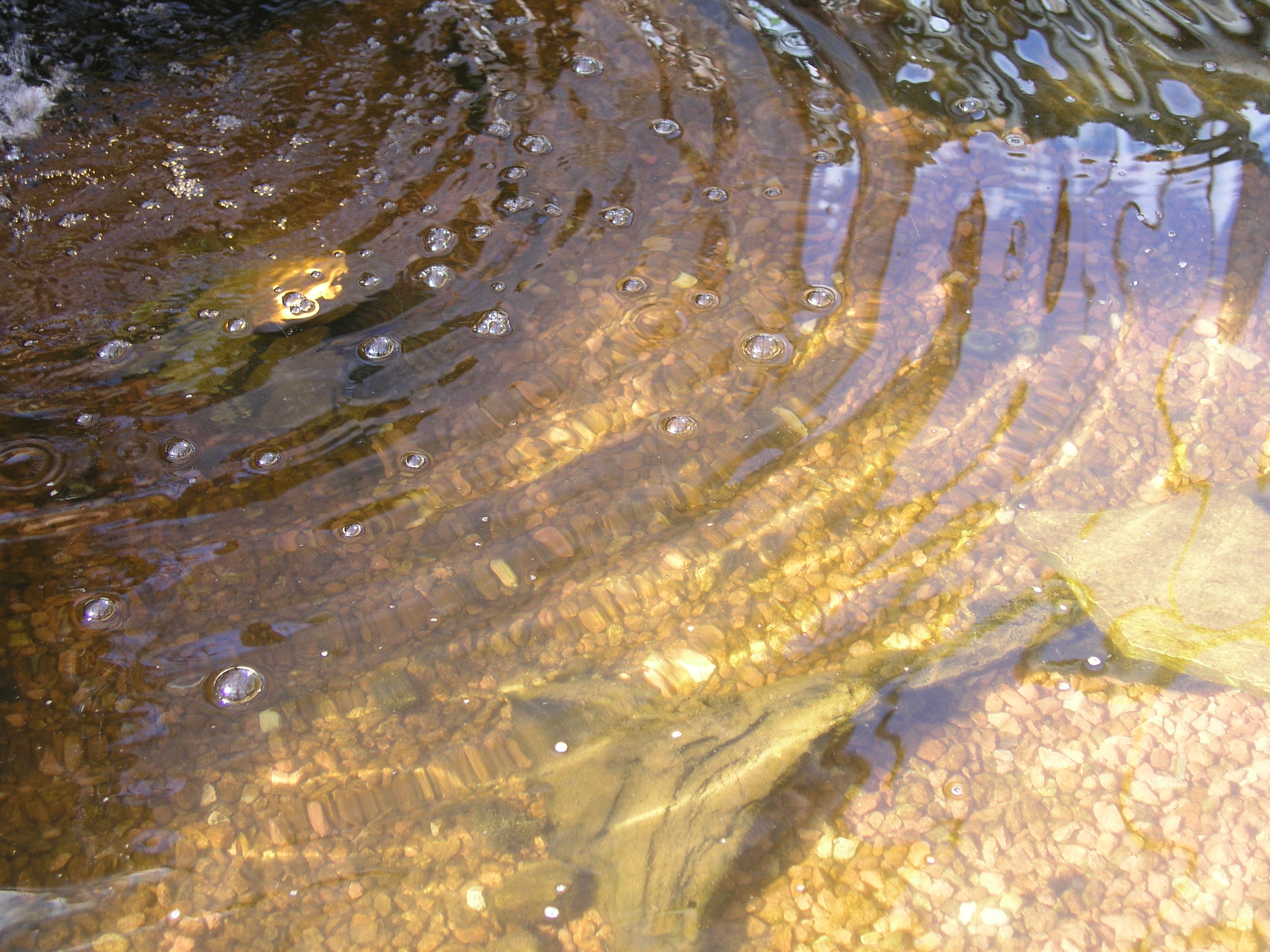 High QualityPond Water Textures - Pond Water Textures | High Quality ... High QualityPond Water Textures - Pond Water Textures | High Quality ...